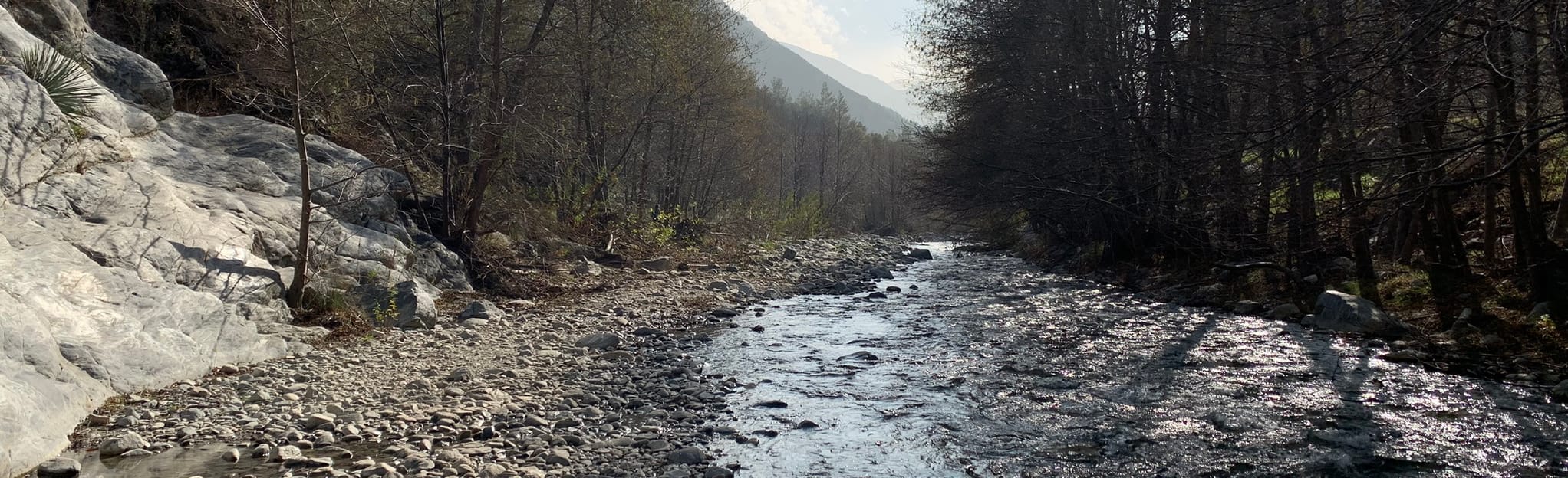 Allison Mine Loop, California - 34 Reviews, Map | AllTrails