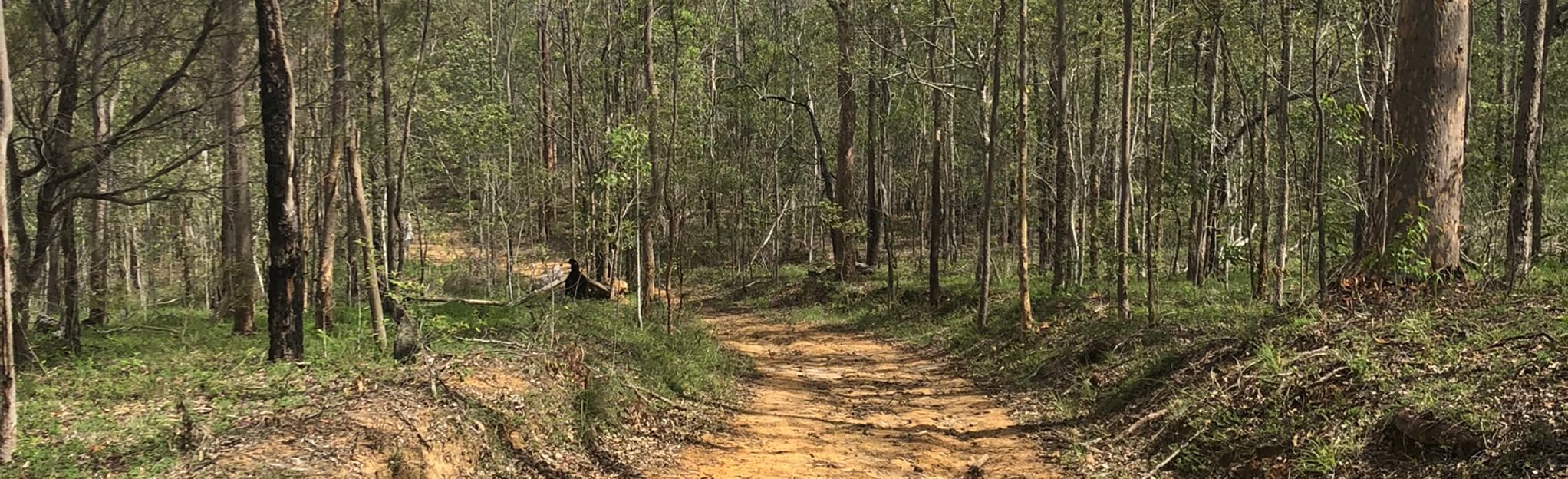 White Rock Circuit: 31 Reviews, Map - Queensland, Australia | AllTrails