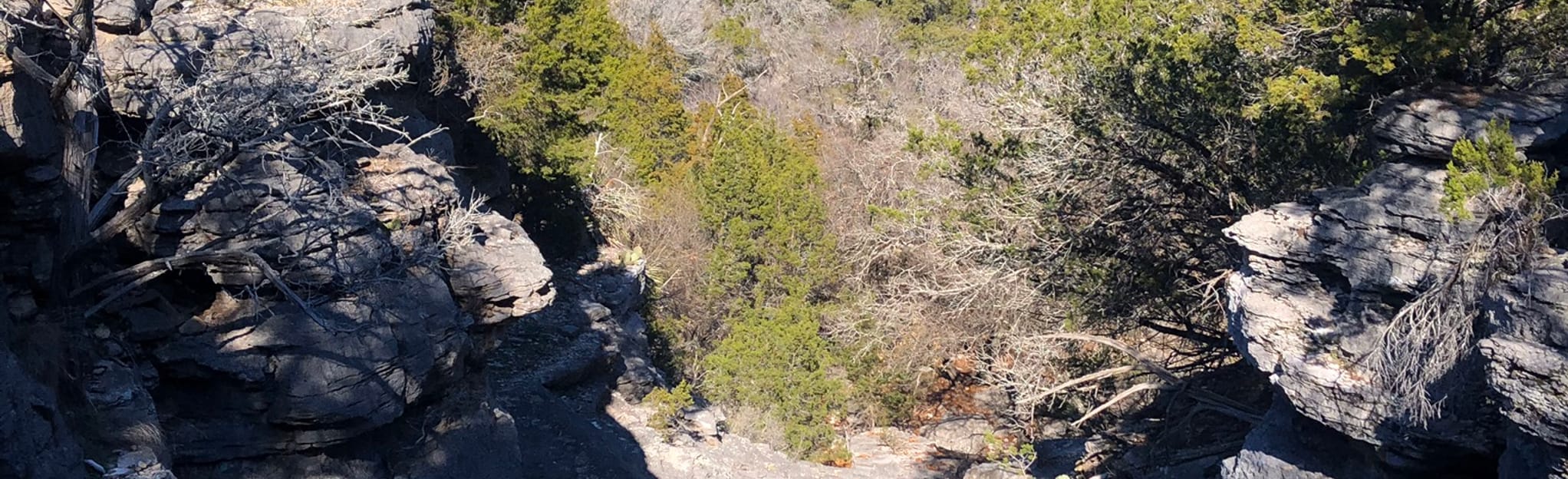 Dogleg Canyon and Cedar Chopper Loop - Texas | AllTrails