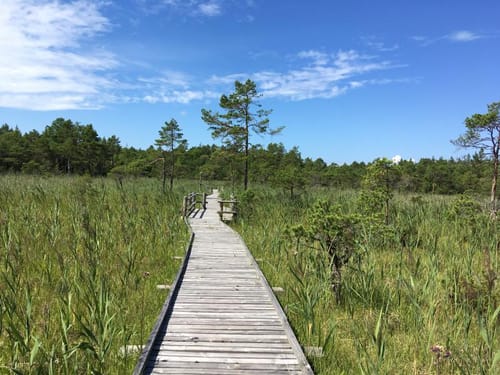 Best Hikes and Trails in Slitere National Park | AllTrails