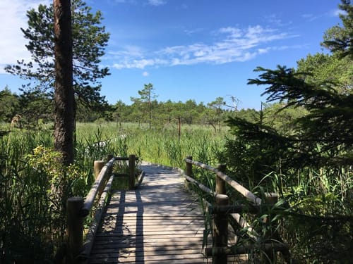 Best Hikes and Trails in Slitere National Park | AllTrails