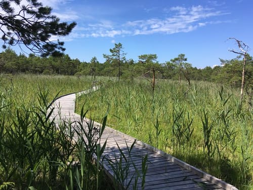 Best Hikes and Trails in Slitere National Park | AllTrails