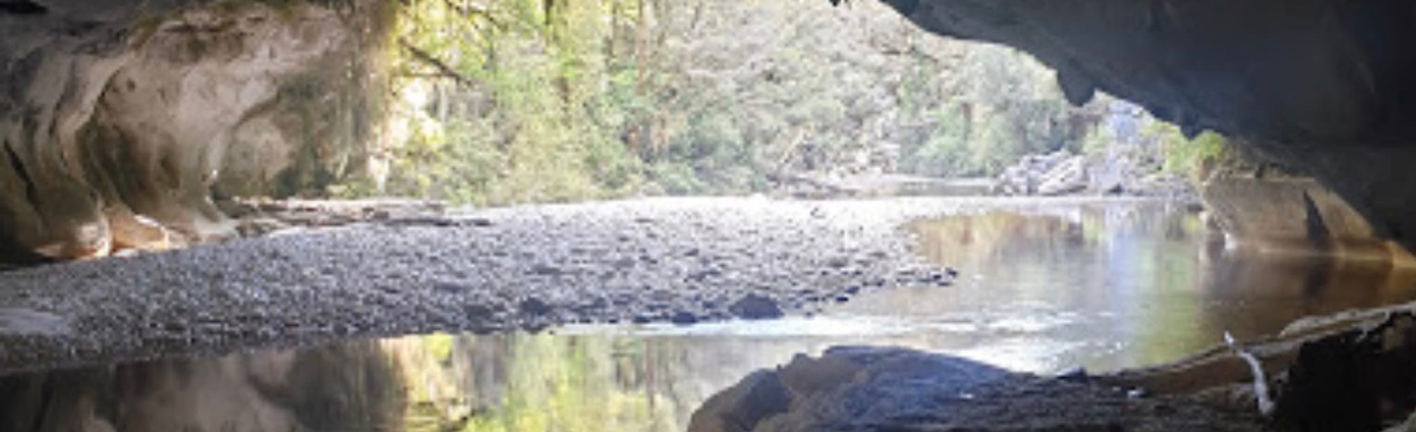 Oparara Arch, West Coast, New Zealand - 27 Reviews, Map | AllTrails