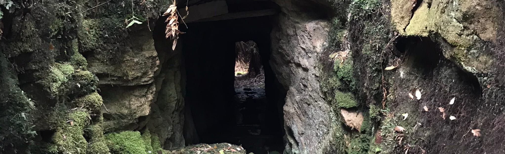 Crystal Hill Walking Track, Tasmania, Australia - 4 Reviews, Map ...