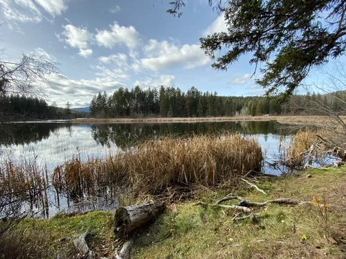 Best Hikes and Trails in Isobel Lake Recreation Site | AllTrails