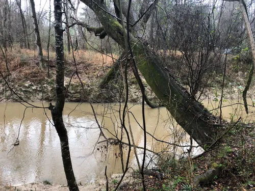 Best Hikes and Trails in Sandy Creek Community Park | AllTrails