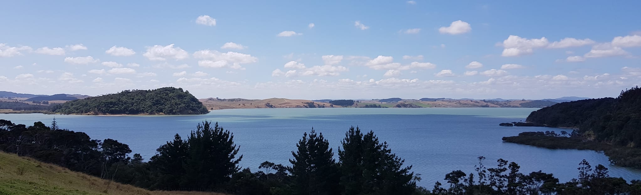 Ti Tree Point Trail: 54 Fotos - Auckland, Neuseeland | AllTrails