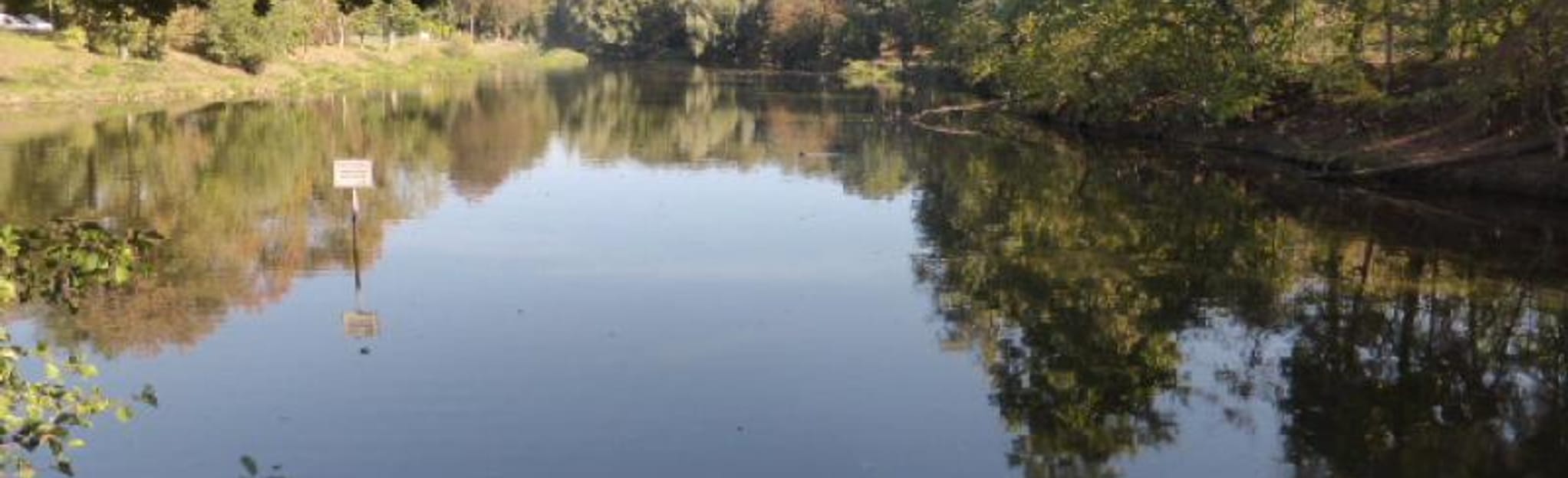 AllTrails | Wegberg Rundwanderweg A1/A2: 1 Reviews, Map - North Rhine ...