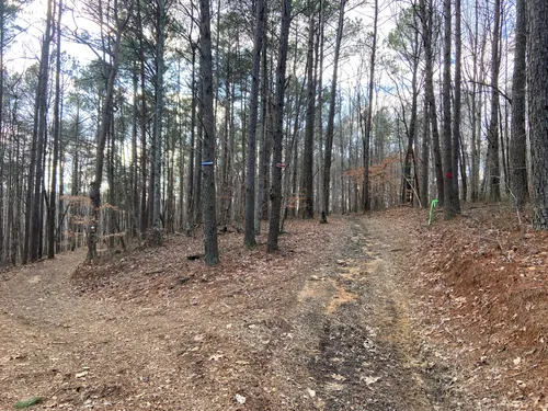 Best Off Road Driving Trails in Alabama | AllTrails
