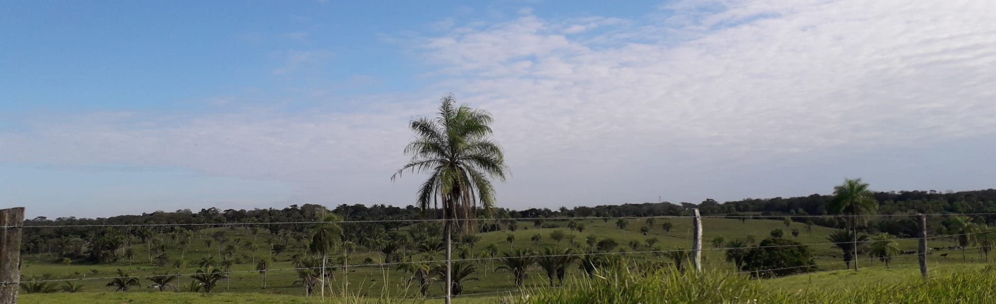 Urubo - Tarumatu Loop, Santa Cruz, Bolivia - Map, Guide | AllTrails