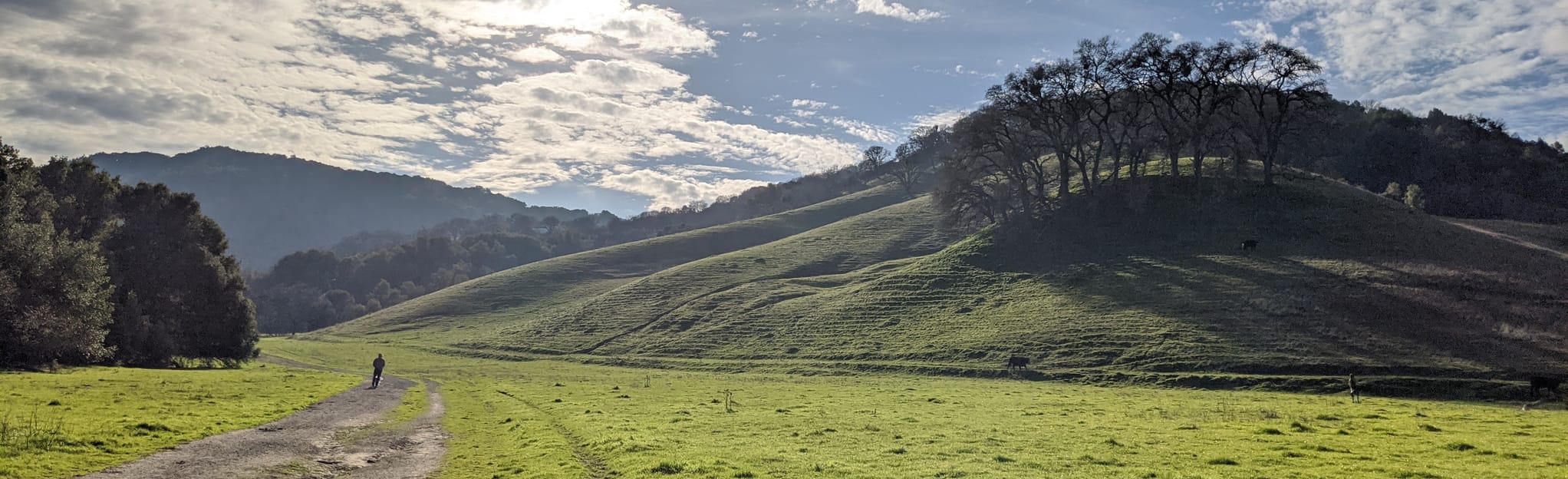 Orchard Trail, Briones Road, and Alhambra Creek Loop: 1.436 foto ...