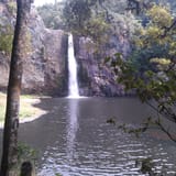 Hunua Falls Trail, Auckland, New Zealand - 61 Reviews, Map | AllTrails