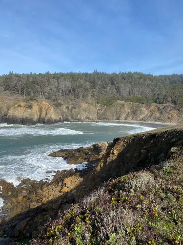 Los 10 mejores senderos y rutas en Salt Point State Park | AllTrails