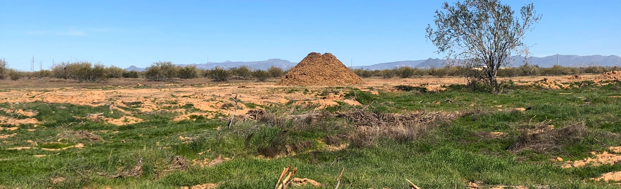 Reach 11 Trail, Arizona - 235 Reviews, Map | AllTrails