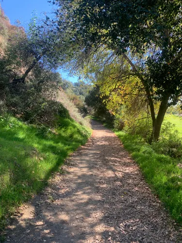10 Best Trails and Hikes in Pasadena | AllTrails
