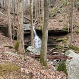 Sewanee Perimeter Trail, Tennessee - 241 Reviews, Map | AllTrails