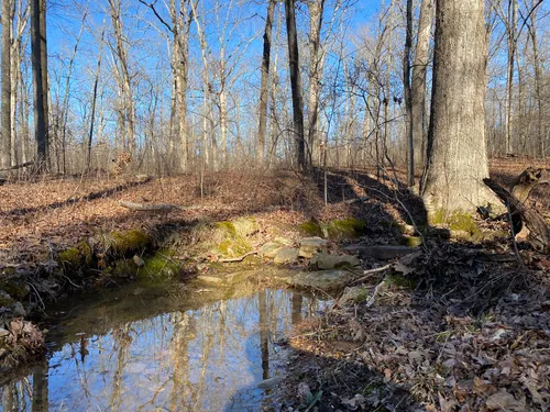10 Best Hikes and Trails in Mark Twain National Forest | AllTrails