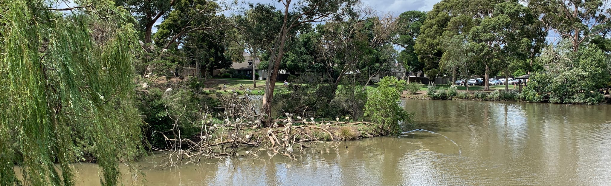 Fawkner to Coburg Lake Reserve via Merri Creek Track: 34 Reviews, Map ...