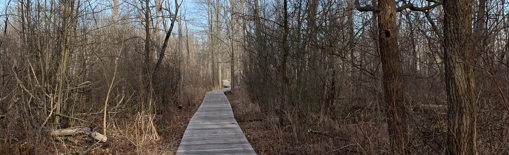 Trail 2 to Trail 10 via Waverly Beach Loop: 339 Reviews, Map - Indiana ...