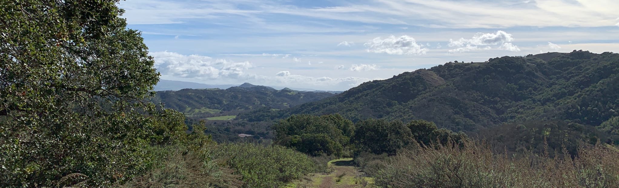 Serpentine Loop Trail: 569 Reviews, Map - California | AllTrails