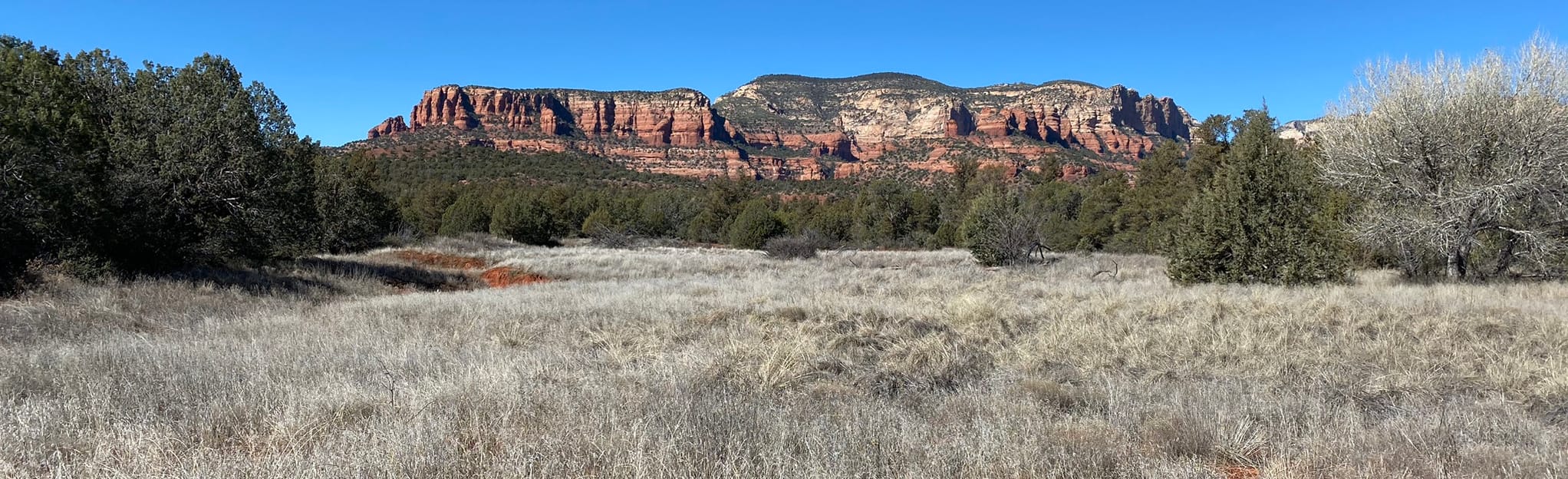 Mescal Mountain and Cockscomb Loop, Arizona - 104 Reviews, Map | AllTrails