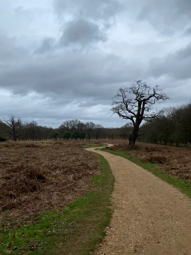Best 10 Hiking Trails in Richmond Park | AllTrails