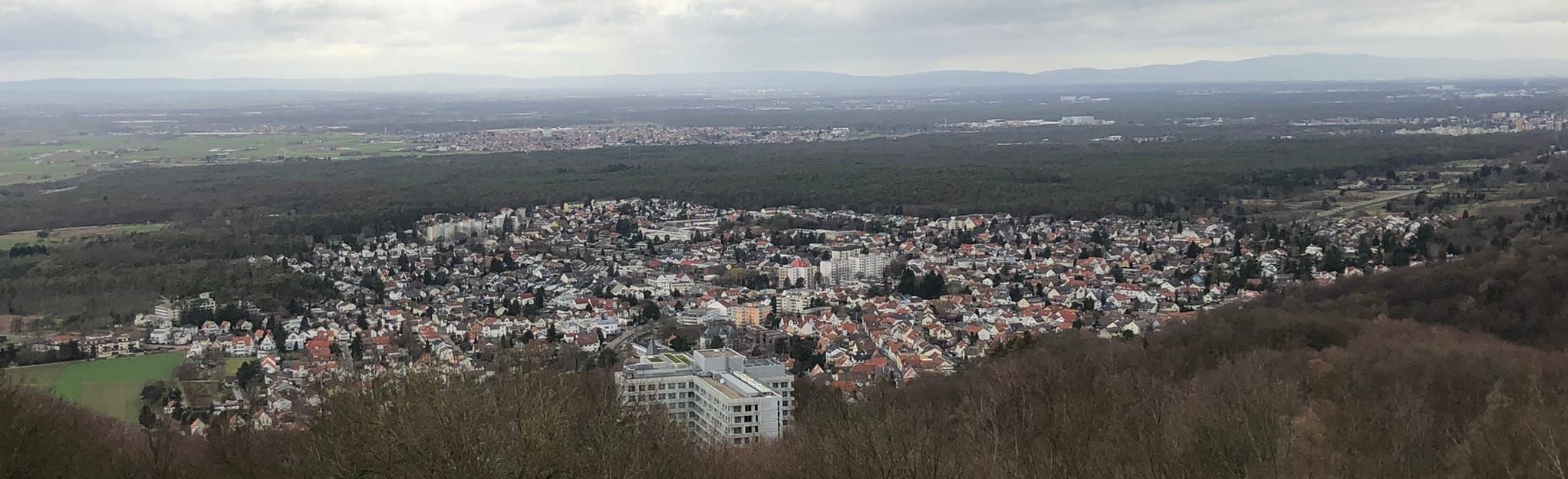 On the Burgensteig near Seeheim-Jugenheim, Hesse, Germany - 1 Reviews ...
