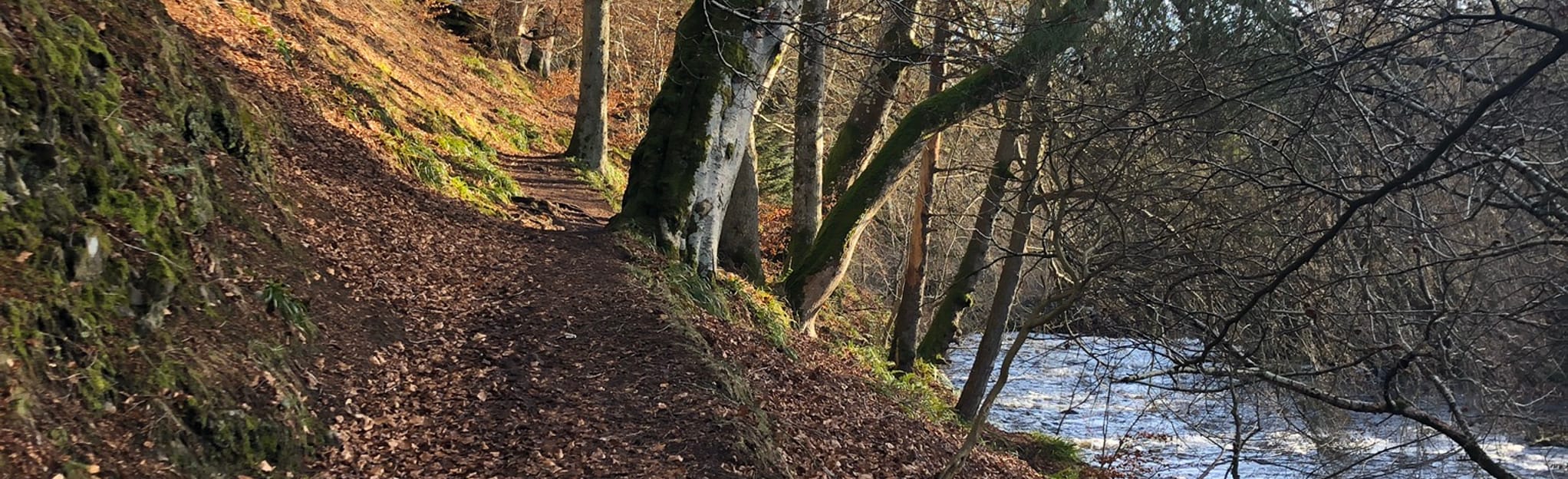Reekie Linn Falls of Craigisla, Perth and Kinross, Scotland - 22 ...