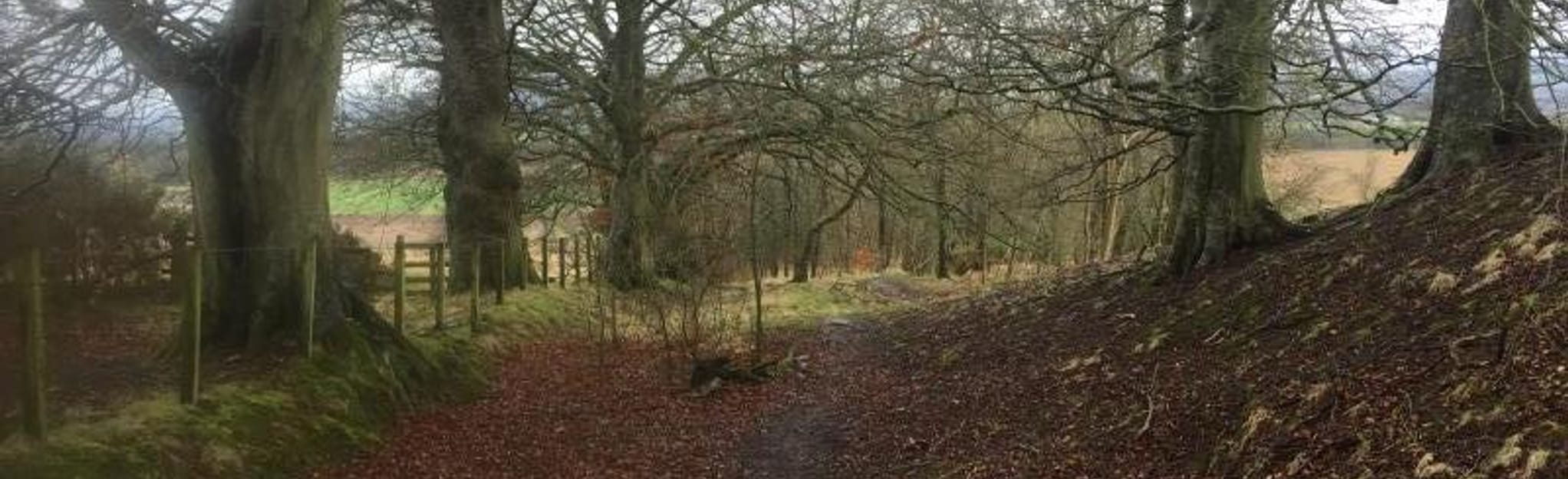 Whitmuir, Harestanes, Longnewton Mill and West Middles Circular: 0 ...