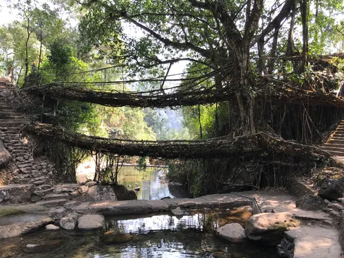 2023 Best 10 Trails and Hikes in India | AllTrails