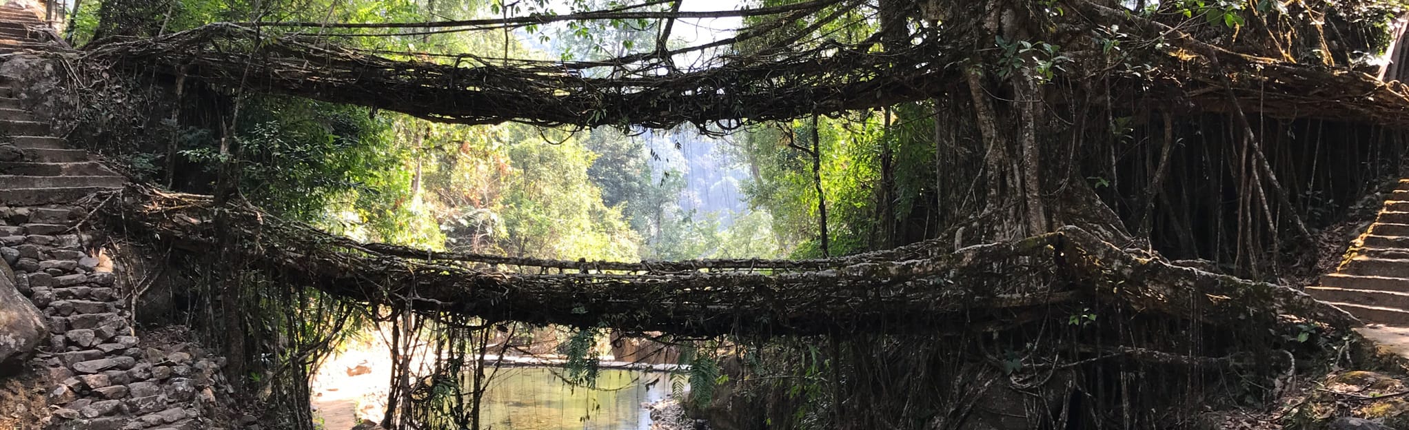 Double Root Bridge Loop: 7 Photos - Meghalaya, India | AllTrails