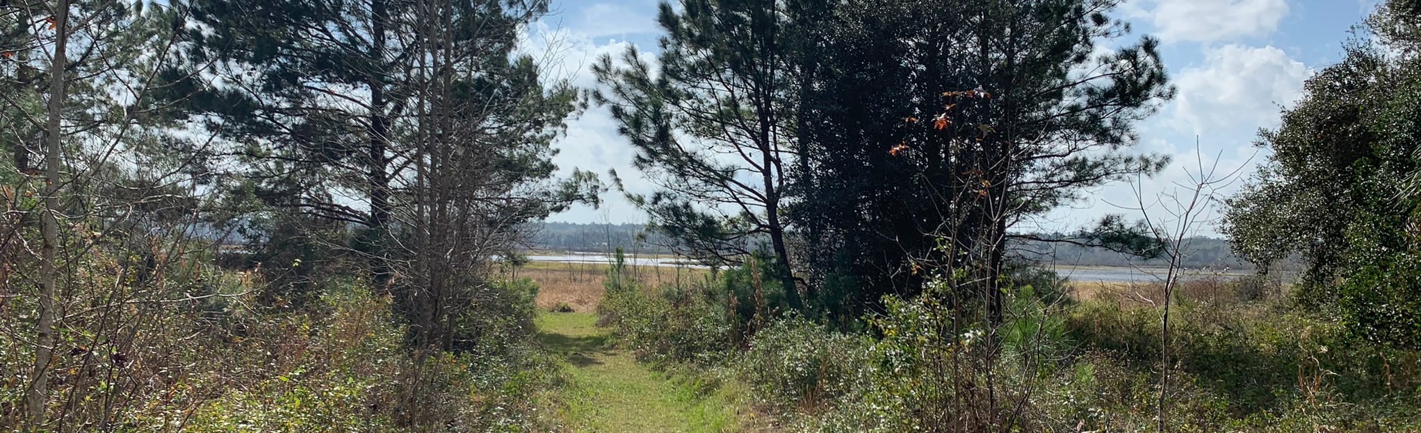 Tuscawilla Preserve | Map, Guide - Florida | AllTrails