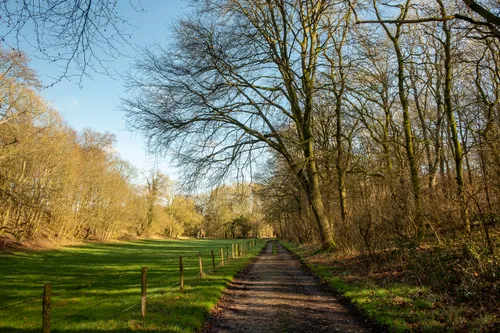 10 Best Walking Trails in Basingstoke | AllTrails