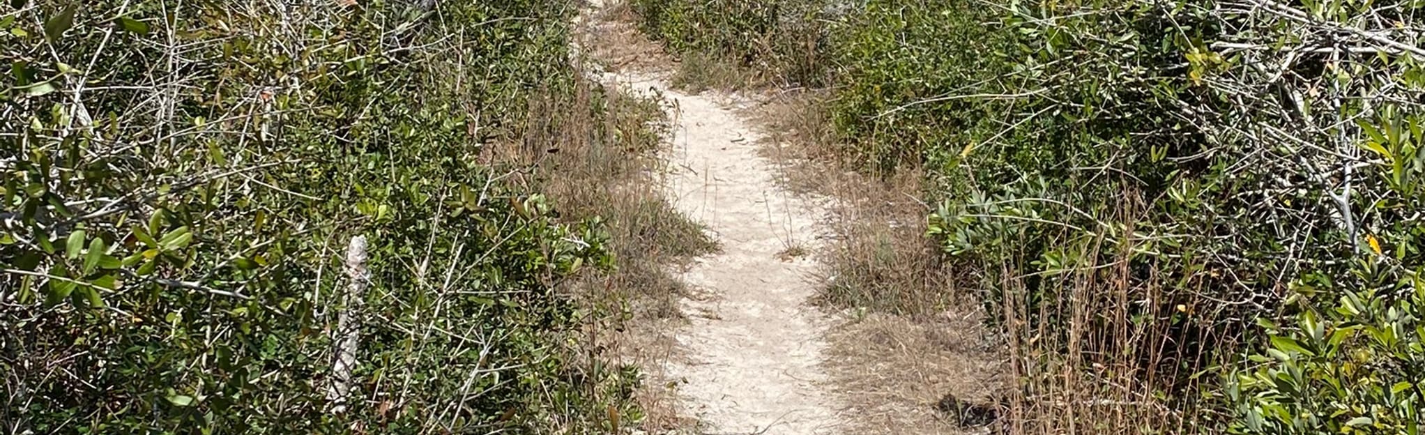 Dagger Point Trail, Texas - 18 Reviews, Map | AllTrails