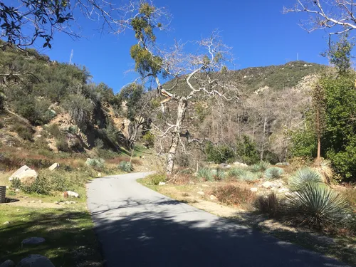Best River Trails in Azusa | AllTrails