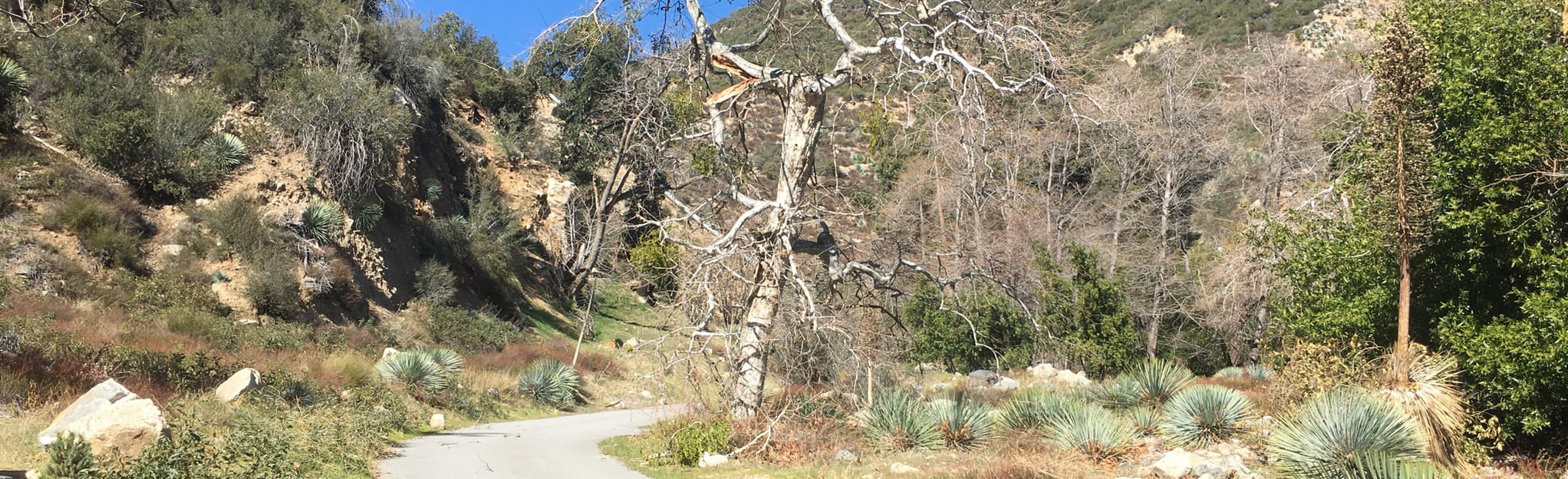 Coldbrook Campground Loop: 5 Reviews, Map - California | AllTrails