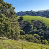 High Ridge and Pioneer Trail Loop, California - 203 Reviews, Map ...