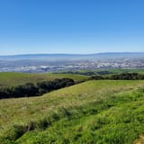 High Ridge and Pioneer Trail Loop, California - 203 Reviews, Map ...