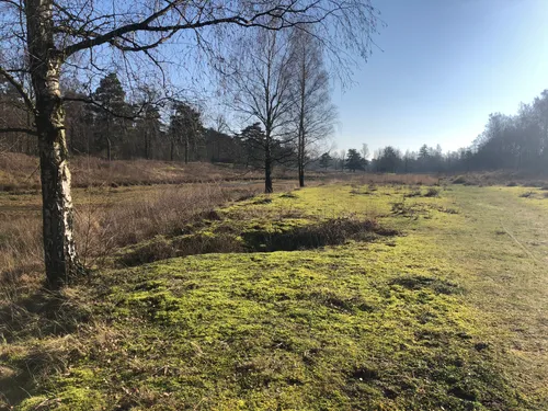 Best Lake Trails in Dorst Forest | AllTrails