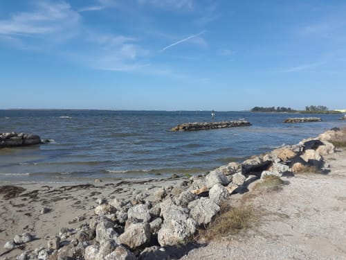 Best Hikes and Trails in Apollo Beach Nature Preserve | AllTrails