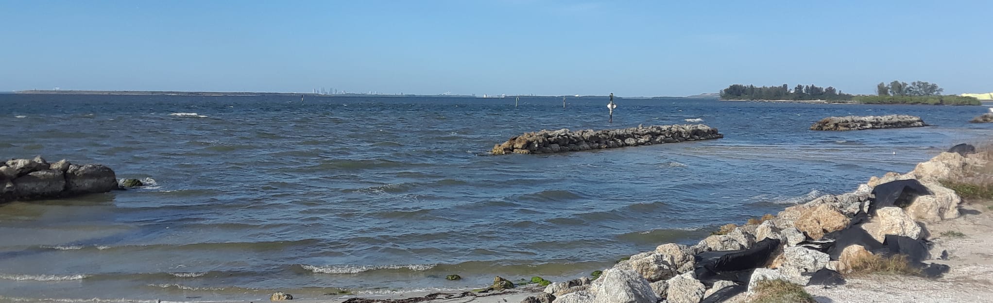 Apollo Beach Nature Preserve Walk: 80 Reviews, Map - Florida | AllTrails