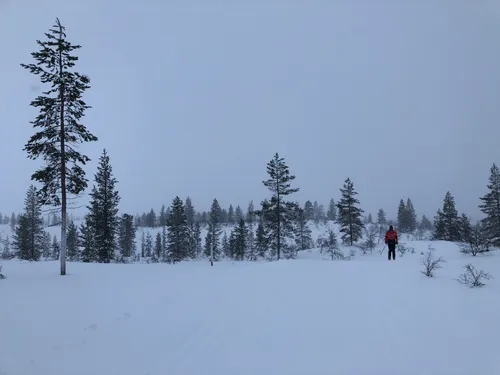 2023 Best 10 River Trails in Urho Kekkonen National Park | AllTrails