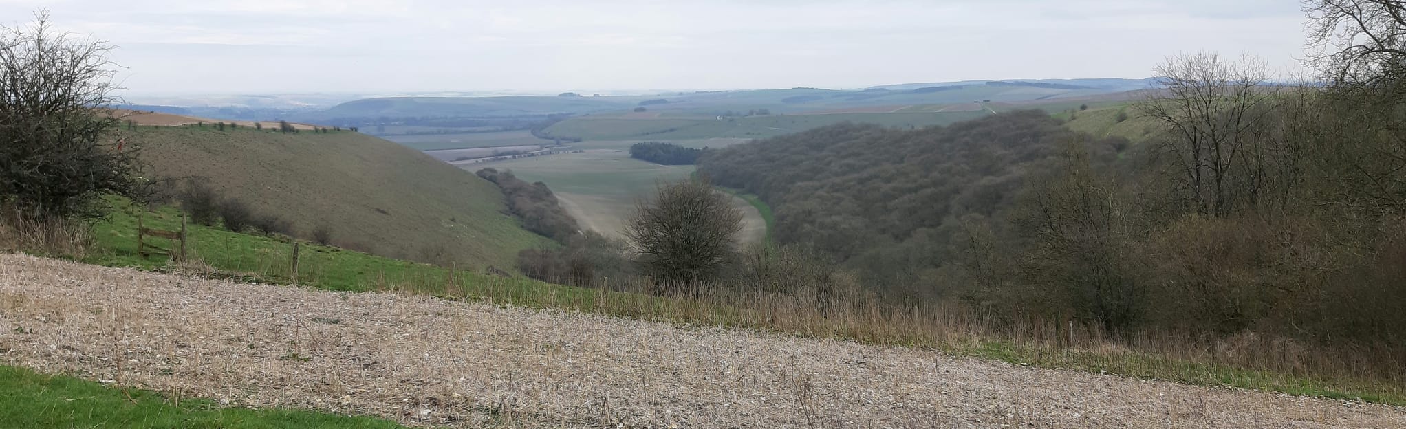 Cold Kitchen Hill Circular: 5 Fotos - Wiltshire, England | AllTrails