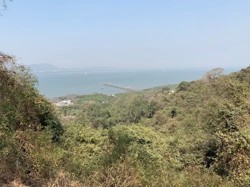 2023 Best Wild Flowers Trails in Uran | AllTrails