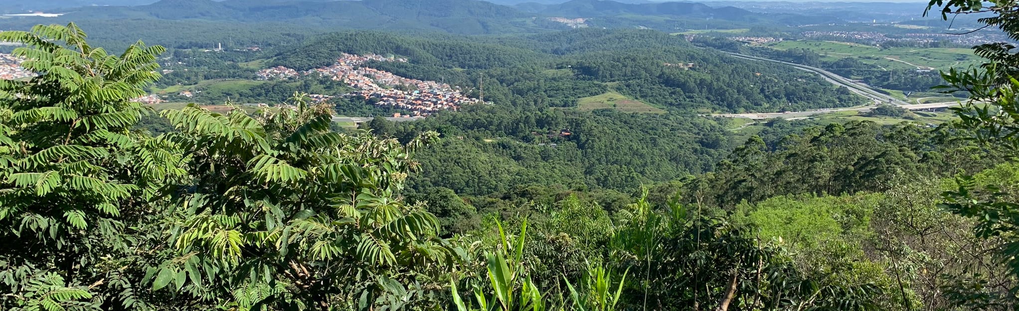 Trilha do Pai Zé (Pico do Jaraguá), São Paulo, Brazil - 63 Reviews, Map ...