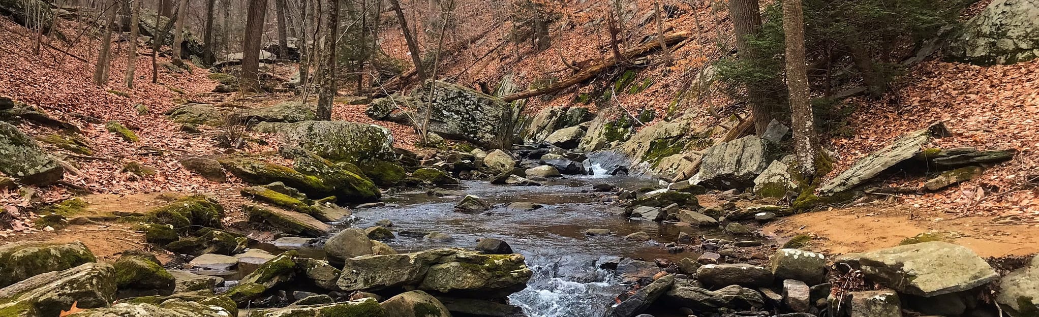 Indian Falls, Jackson Brook and Hedden Park Circular Loop, New Jersey ...