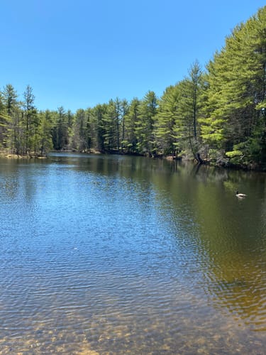 Best Hikes and Trails in Beaver Park | AllTrails