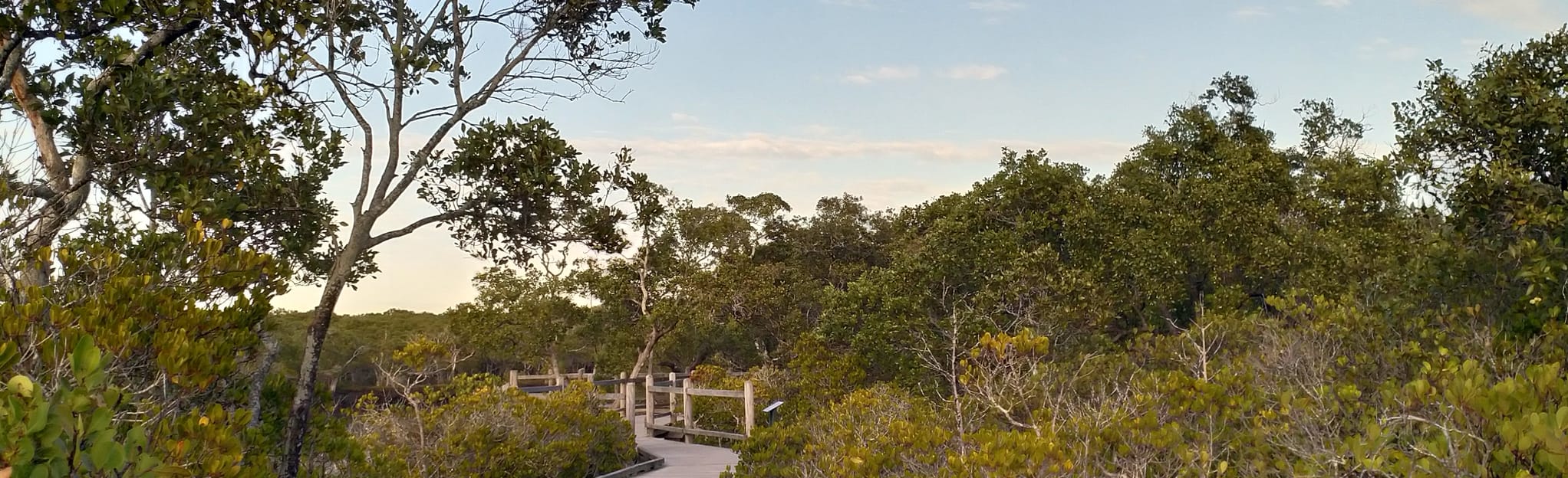 Tabbil-ban Dhagun Boardwalk - Queensland, Australia | AllTrails