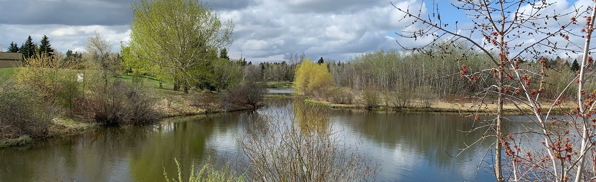 Broadmoor Lake Loop, Alberta, Canada - 124 Reviews, Map | AllTrails