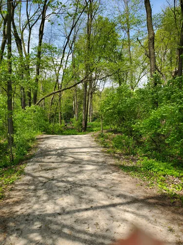10 Best Horseback Riding Trails in Indiana | AllTrails